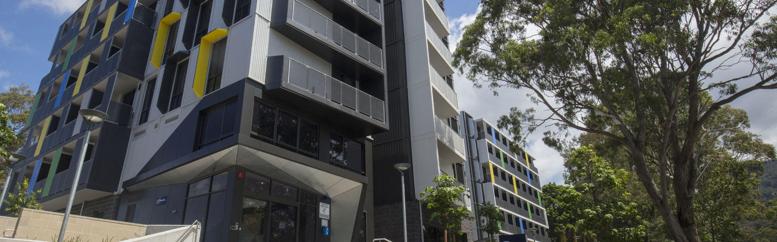 Bangalay - University of Wollongong – UOW