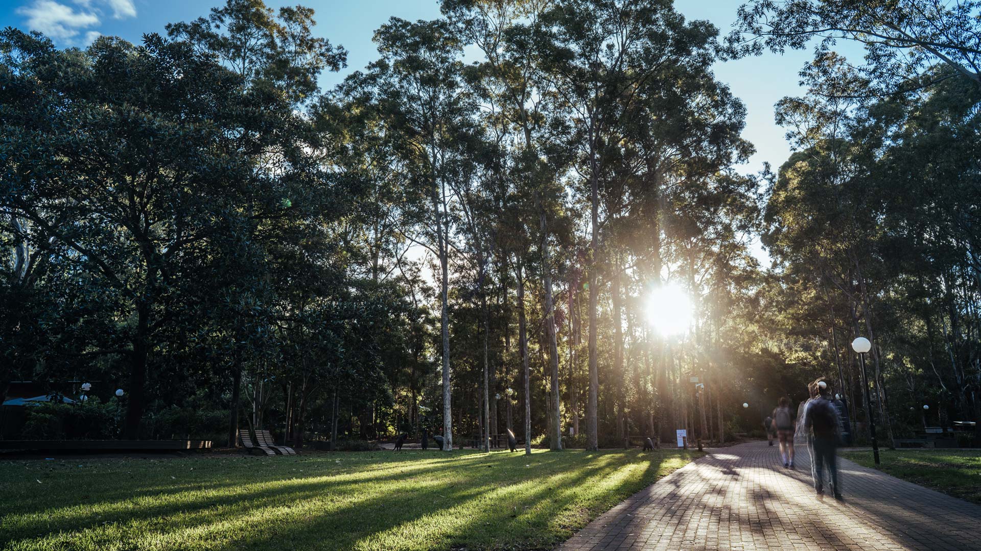 Policy Directory - University of Wollongong – UOW