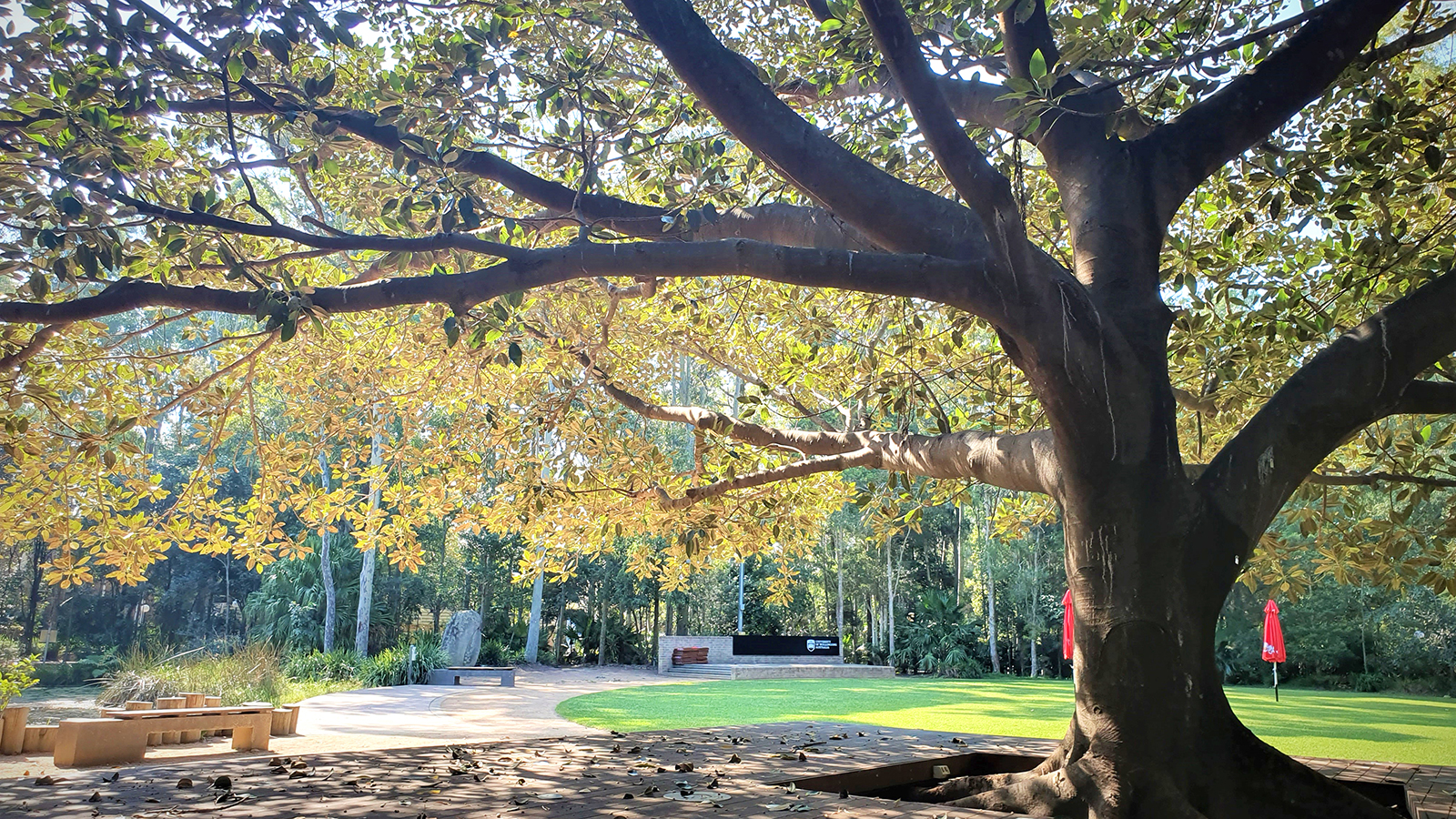 2021: The 5 most Instagrammable spots on campus at UOW - University of ...