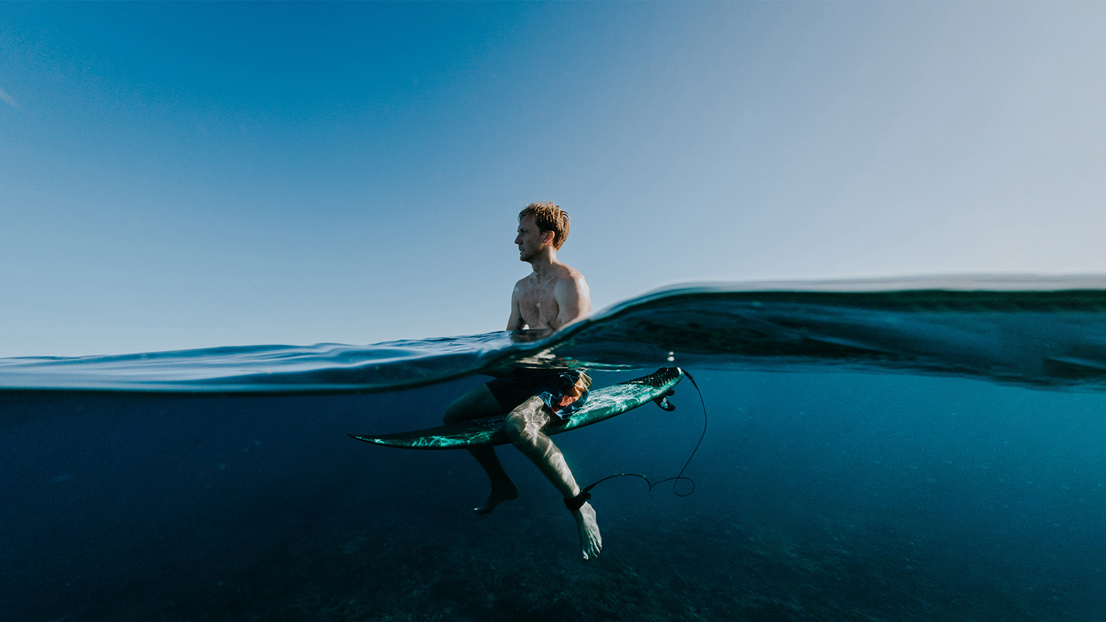 How coincidence and connections helped a shark attack survivor heal and ...