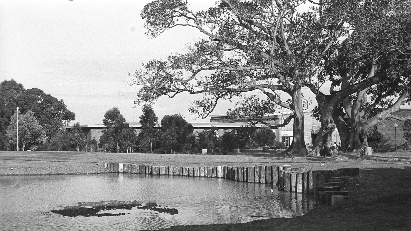 2025: Memories and milestones: Scenes from UOW's first 50 years ...