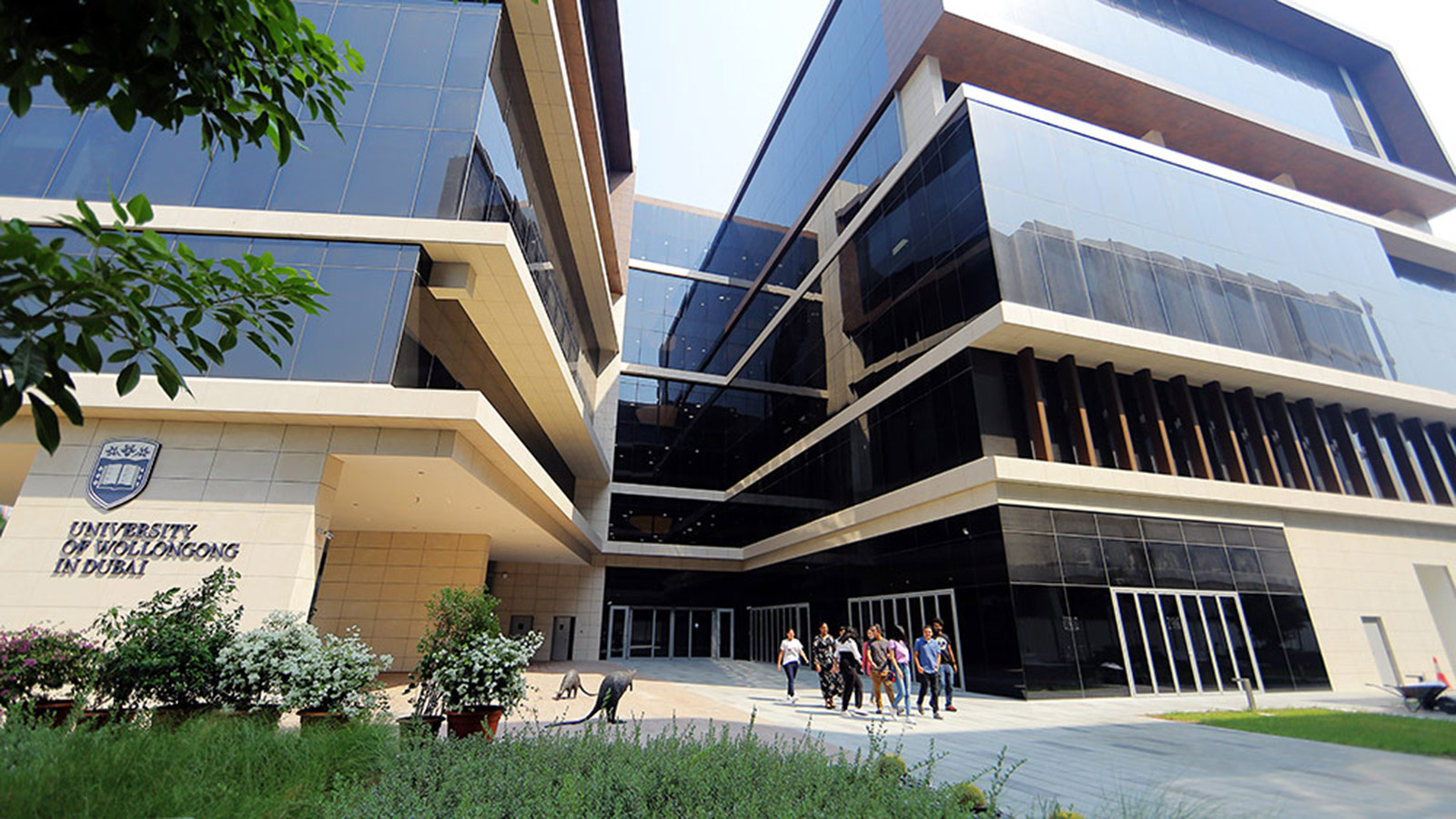 Branching out: Growing UOW’s global reach in Dubai - University of ...