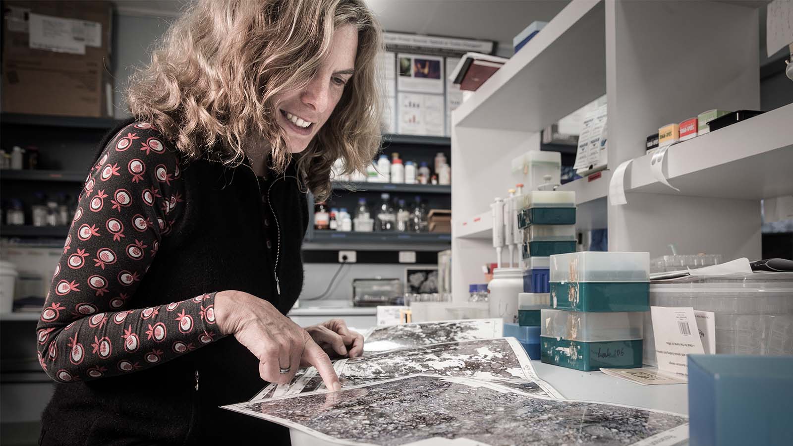 Meet the UOW academics leading research across the country - University ...