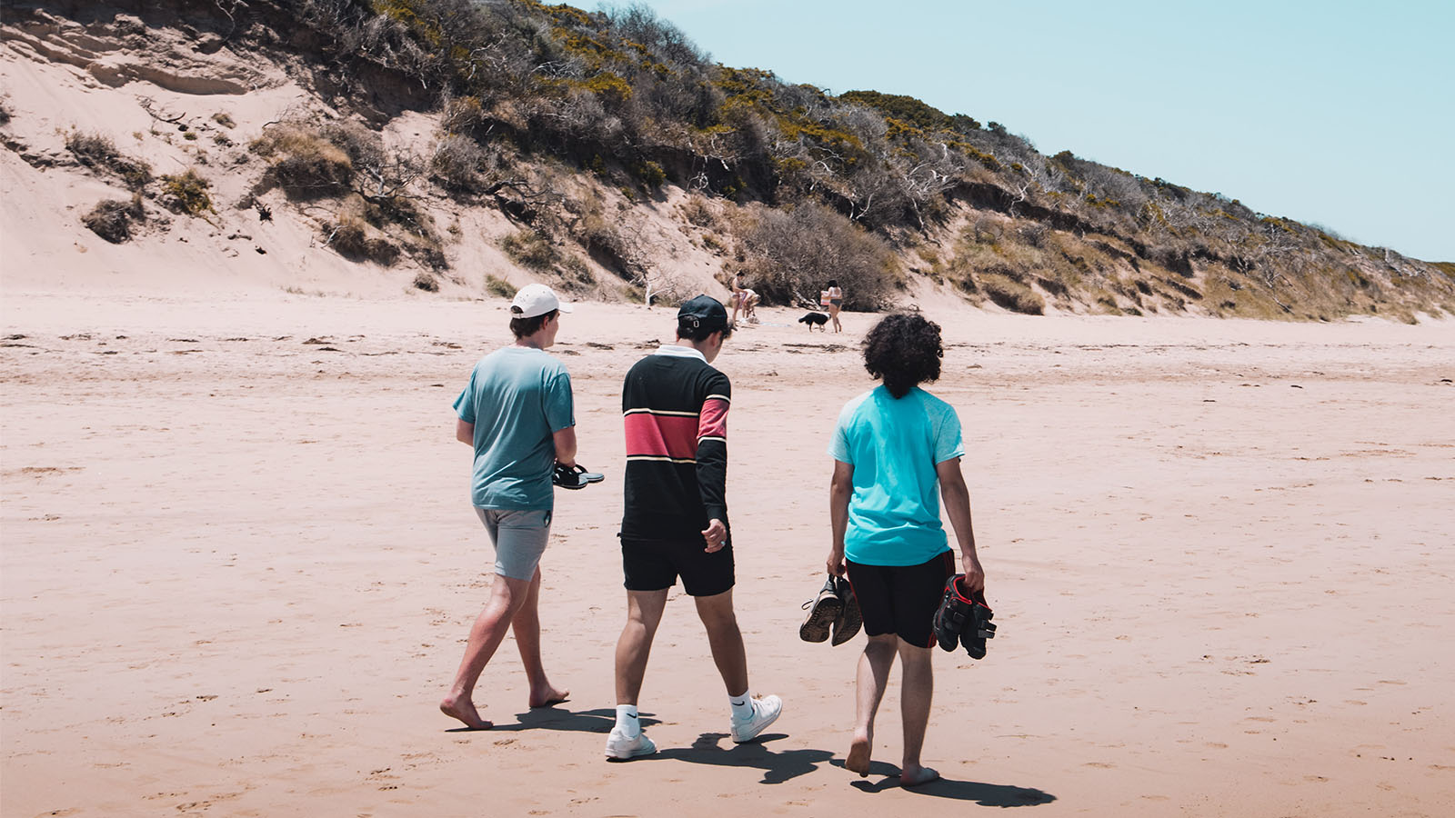 2022: What UOW students did between finishing high school and starting ...