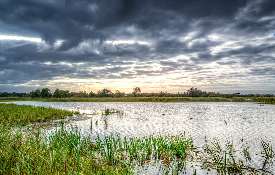 Gas Emissions in Estuaries - University of Wollongong – UOW