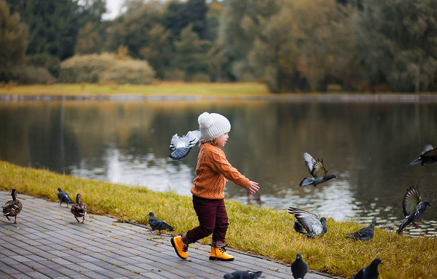 Sunrise Movement Behaviours in Children - University of Wollongong – UOW