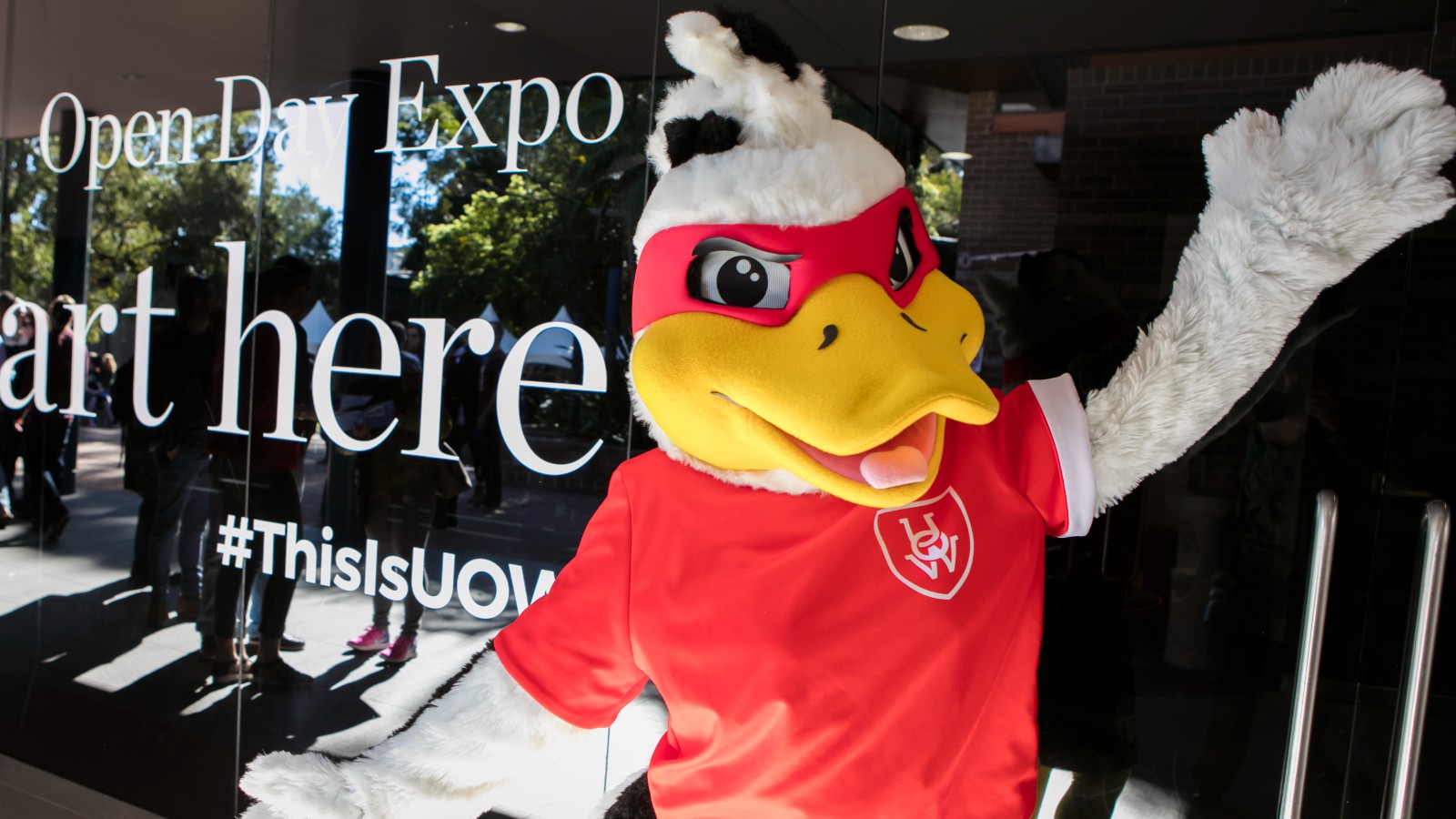 Baxter's Origin Story - University of Wollongong – UOW