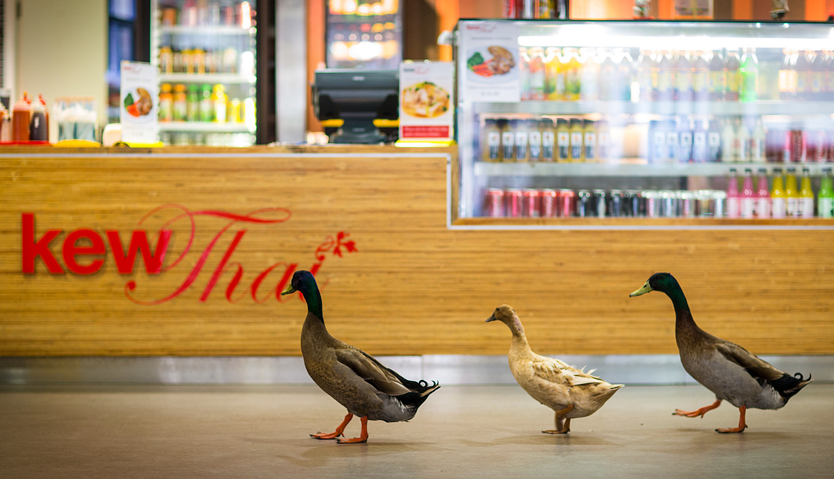 2015 | The year that was at UOW - University of Wollongong – UOW