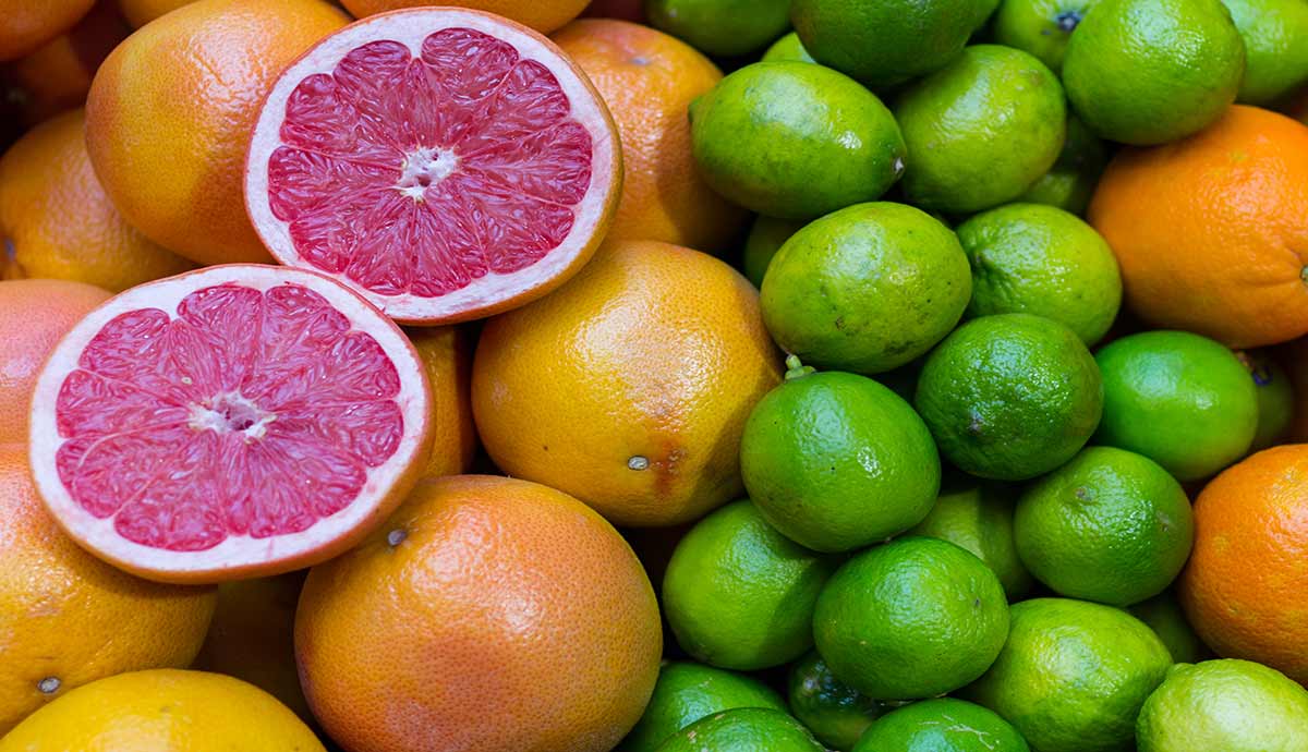2016 | Explainer: what is scurvy and is it making a comeback ...