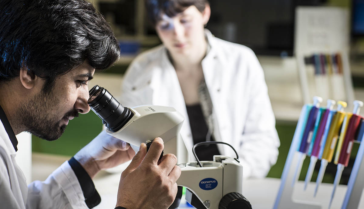 2019 | UOW boosts its research excellence rating - University of ...