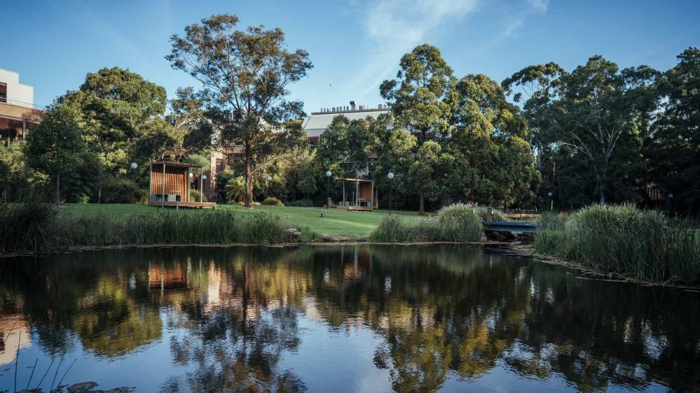 2025 | UOW announces changes to services and operations - University of ...