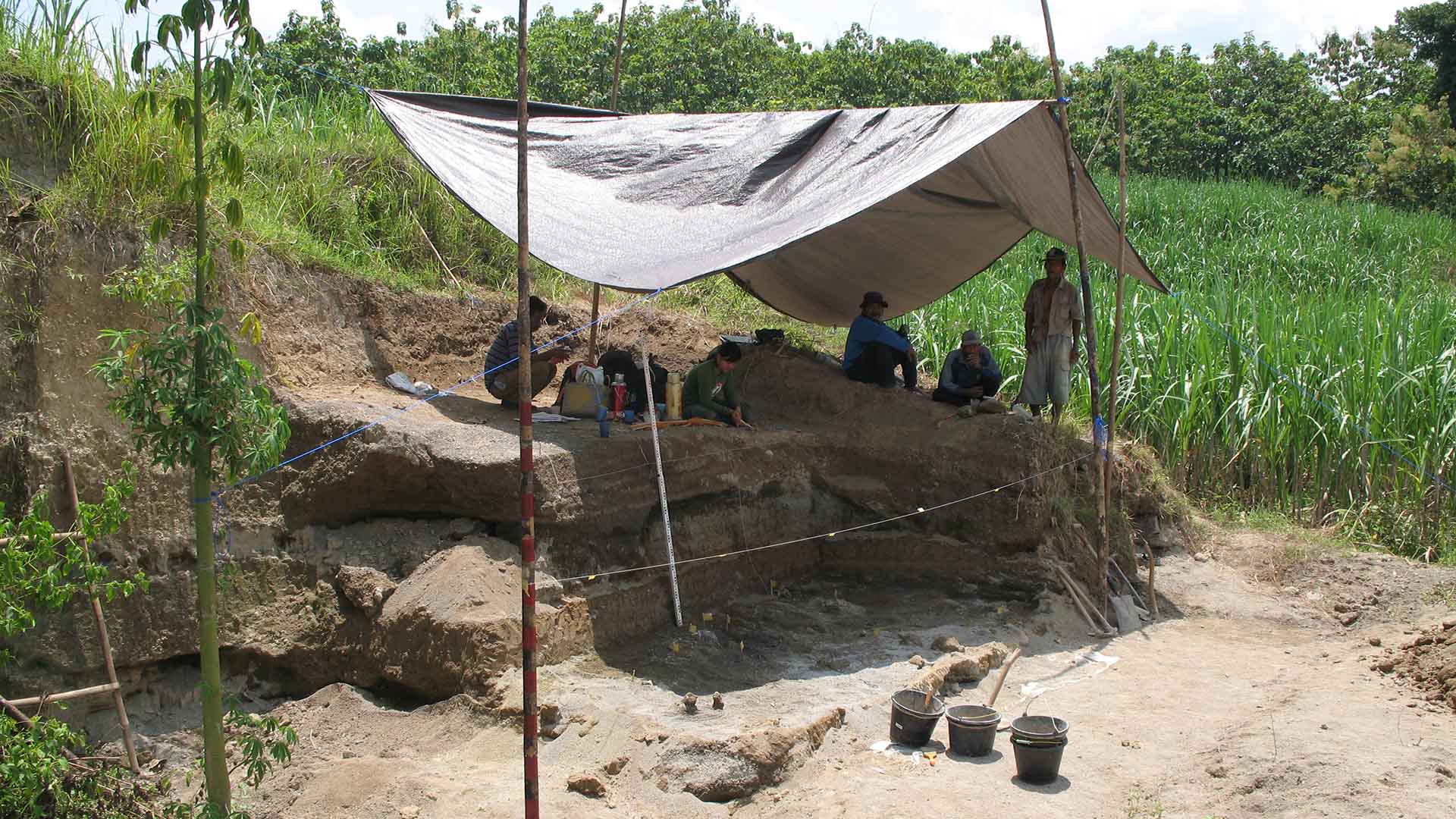 Homo Erectus Shelter