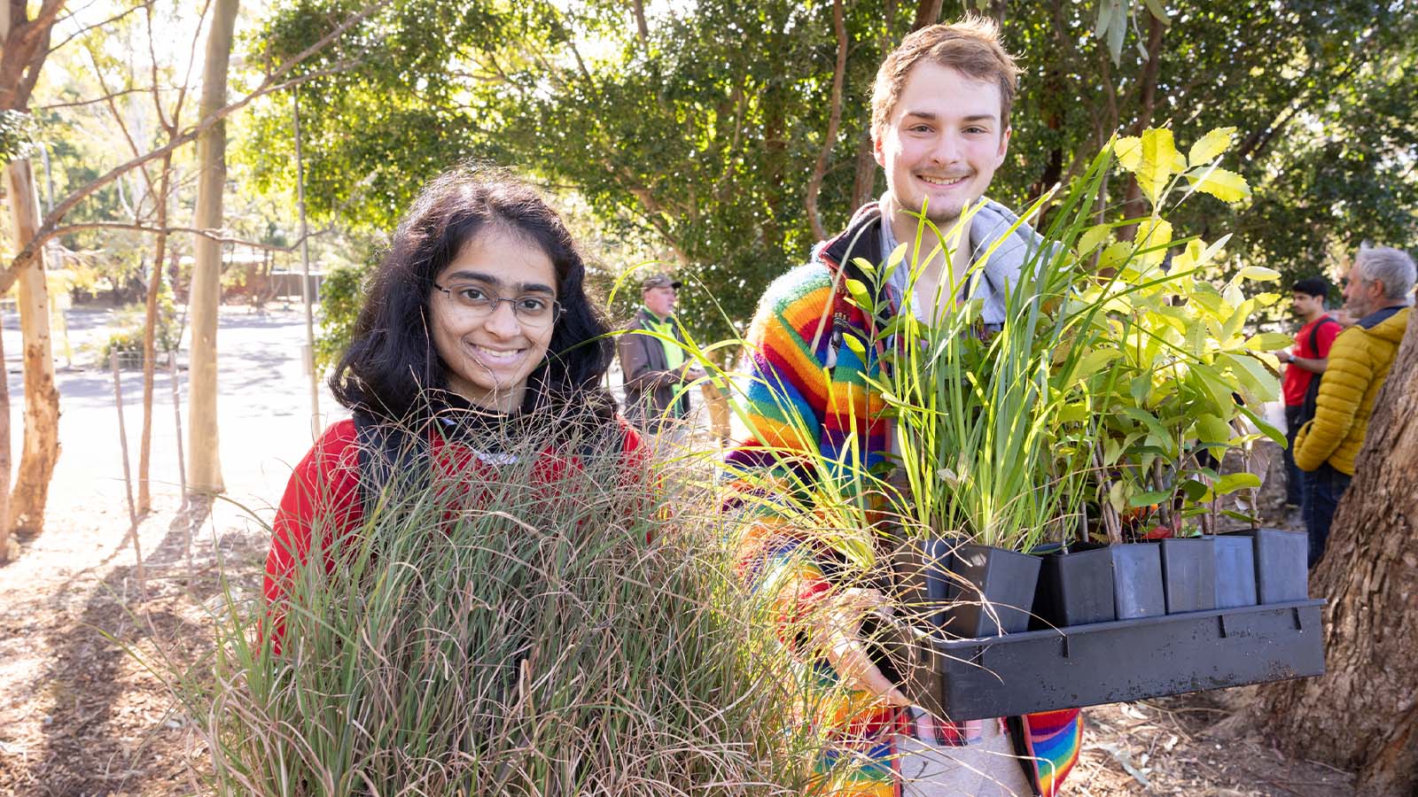 2023 | UOW celebrates National Tree Day - University of Wollongong – UOW