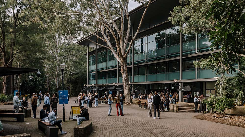 2025 | Student outcomes, research strengths shine as UOW navigates ...